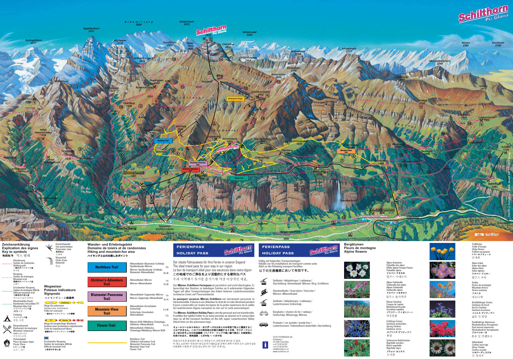 Allmendhubel Excursion Near Mürren | The Swiss Holiday Company