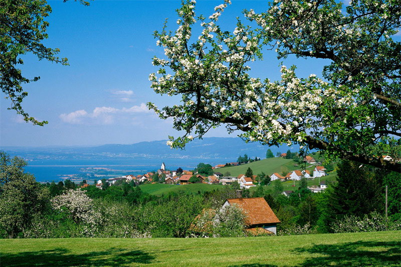 Visit Lake Constance, Eastern Switzerland | The Swiss Holiday Company
