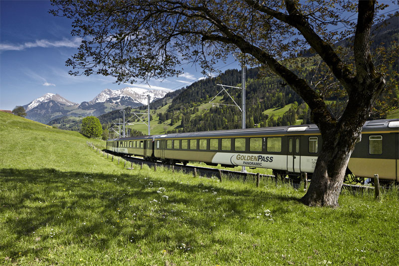 Scenic GoldenPass Line Holidays 2020 | Swiss Holiday Company